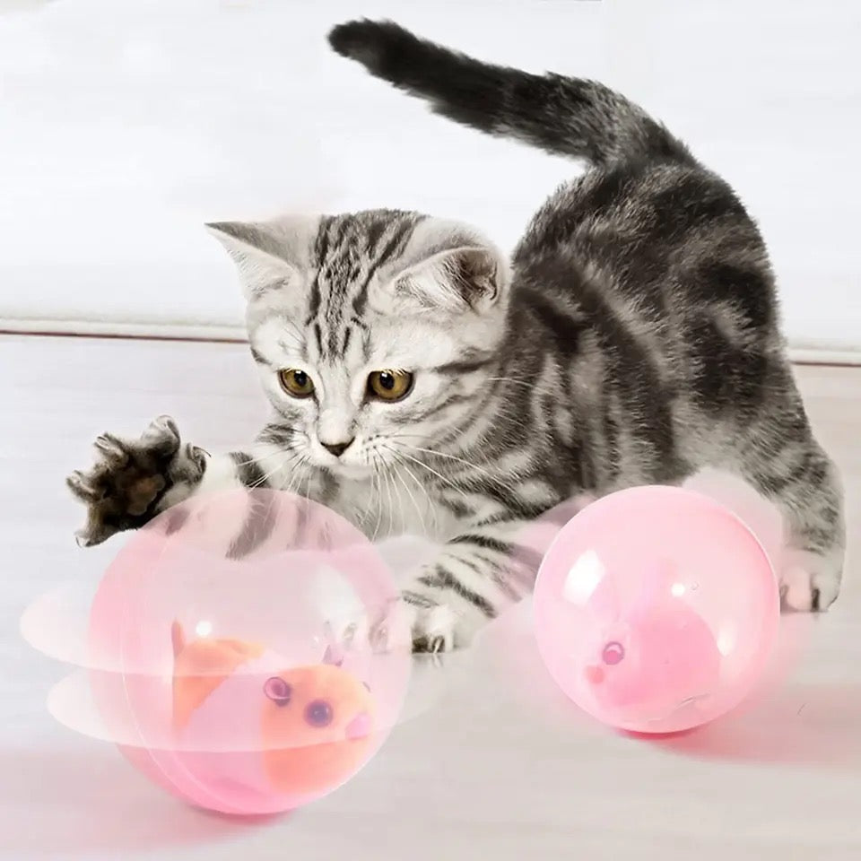 Rolling Hamster - Active Ball – SnoutCraft